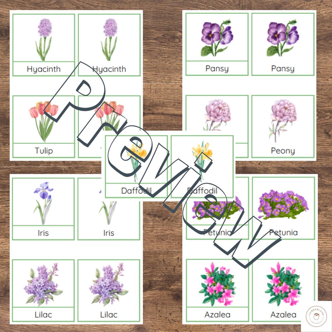Spring Flowers Montessori 3-part Cards | Gardening & Nature Learning ...