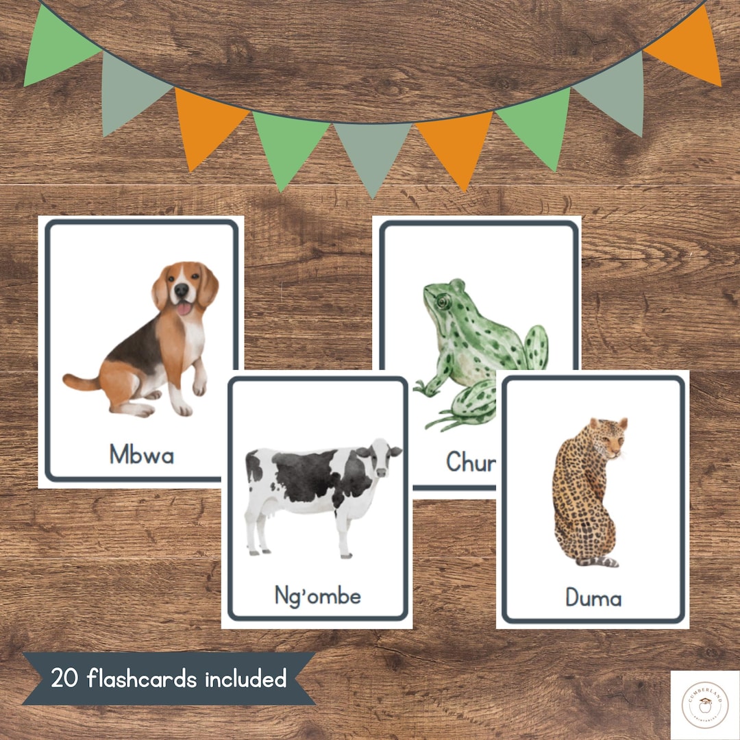 Swahili Animal Vocabulary Flashcards | Learn Kiswahili Animals ...