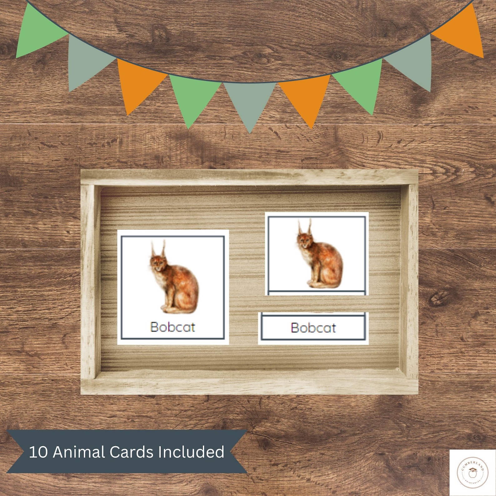 Mountain Animals Montessori 3-part Cards: Wildlife Vocabulary (PDF ...