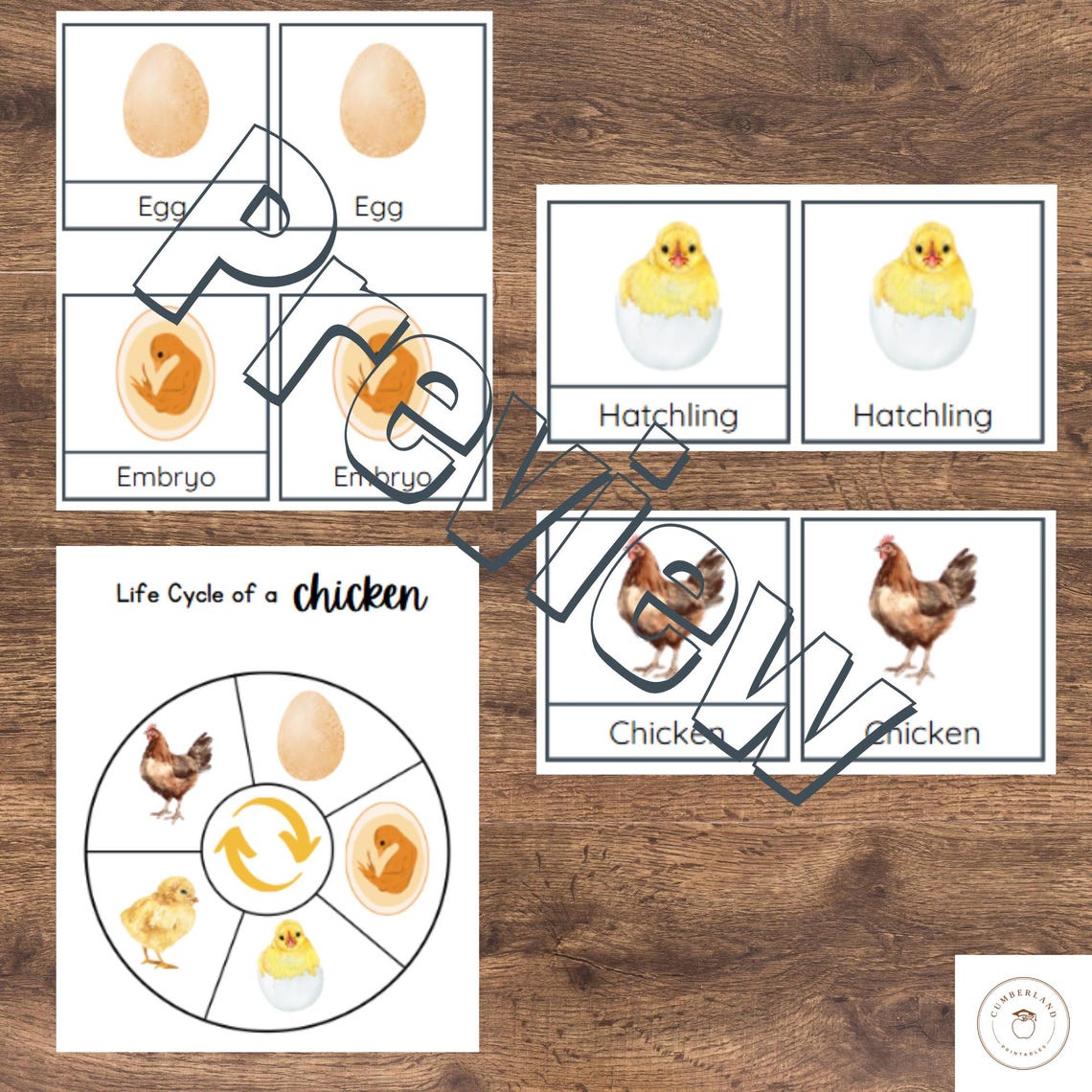 Life Cycle of a Chicken - Montessori 3-part Cards & Poster, Life Cycle ...