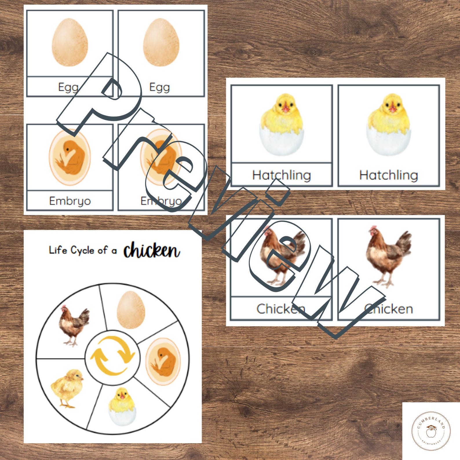 Life Cycle of a Chicken - Montessori 3-part Cards & Poster, Life Cycle ...