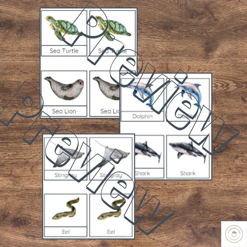 Ocean Animals Montessori 3-part Cards | Nomenclature Cards | Marine ...
