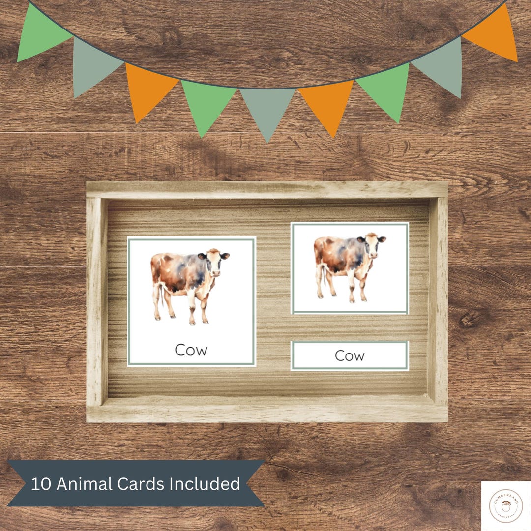 Farm Animal Montessori 3-part Cards | Educational Vocabulary Set | Farm ...