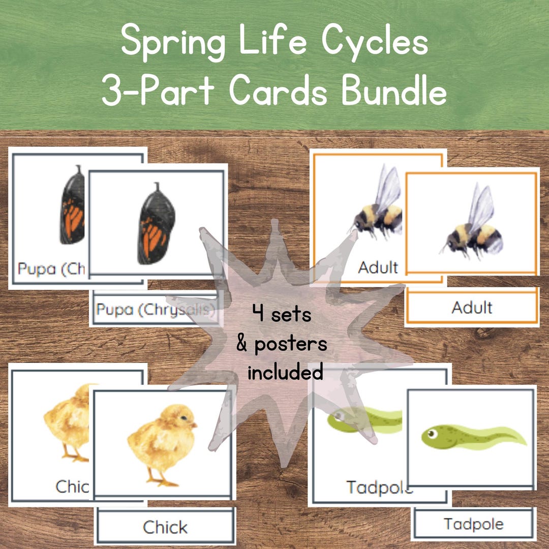 Spring Life Cycles Bundle | Montessori 3-part Cards & Posters | Bee ...