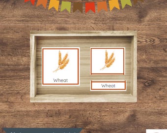 Autumn Montessori 3-part Cards | Fall Vocabulary Nomenclature ...