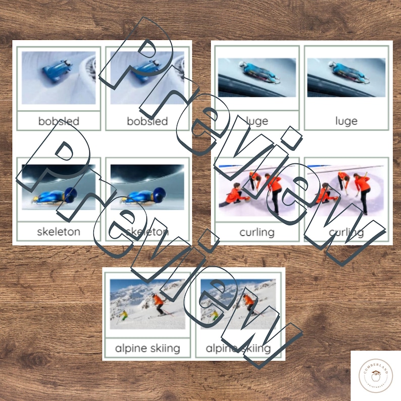 Winter Olympics Montessori 3-part Cards | Winter Sports Vocabulary ...