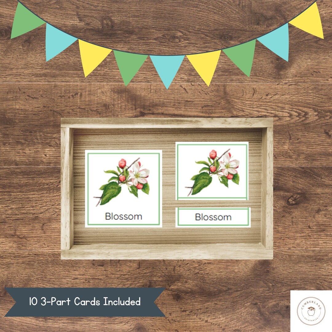 Signs of Spring Montessori Cards: Nature Vocabulary (PDF Download) - Etsy