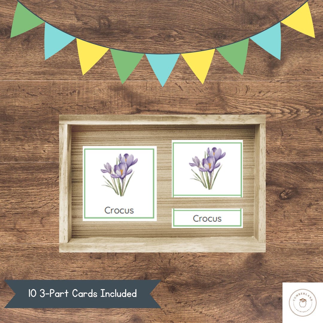 Spring Flowers Montessori 3-part Cards | Flower Nomenclature | Botany ...