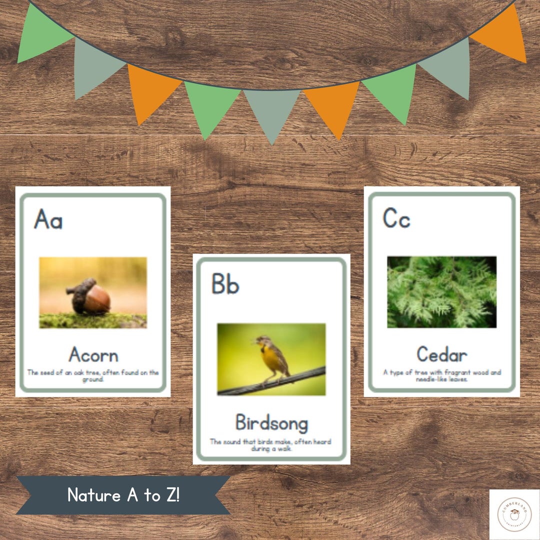 Nature Alphabet Flashcards A to Z: Homeschool Phonics (digital Download ...