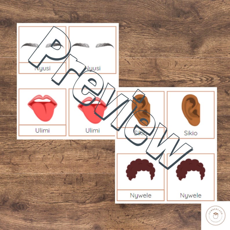 Swahili Body Parts Montessori 3-part Cards | Learn Kiswahili Vocabulary ...
