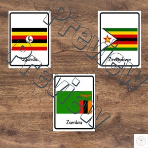 Flags of Africa Flashcards: Geography & Social Studies (PDF) - Etsy