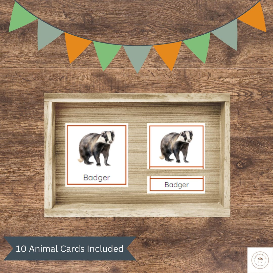 Temperate Forest Animals Montessori 3-part Cards | Wildlife Vocabulary ...