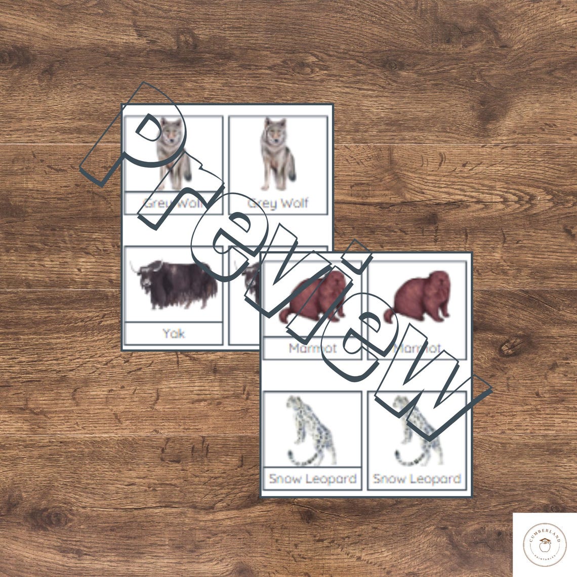 Mountain Animals Montessori 3-part Cards | Nomenclature Cards ...