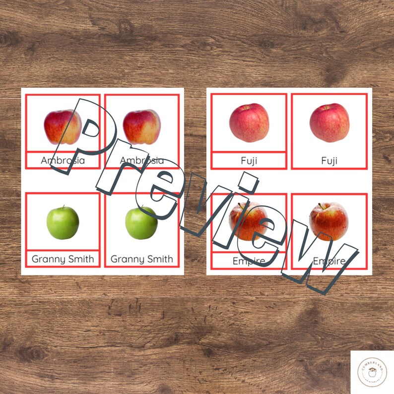 Apple Varieties Montessori 3-part Cards: Vocabulary Learning (digital ...