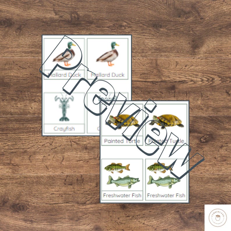Freshwater Animal Montessori 3-part Cards| Nomenclature Cards ...