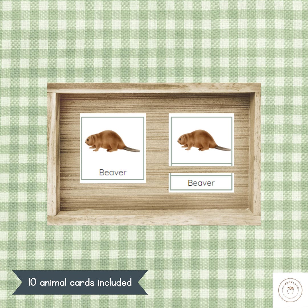 Freshwater Animals Montessori 3-part Cards - Nomenclature Cards ...