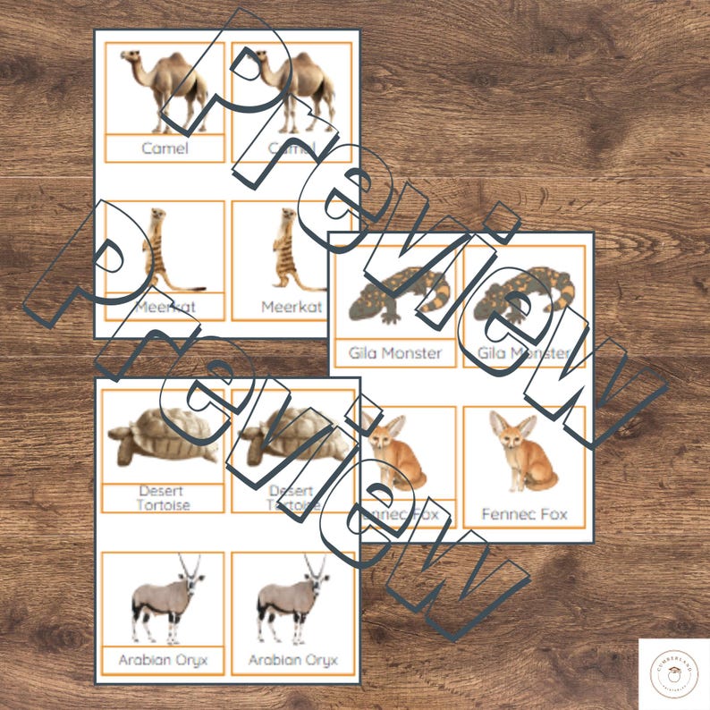 Desert Animals 3-part Cards - Montessori Nomenclature Cards ...