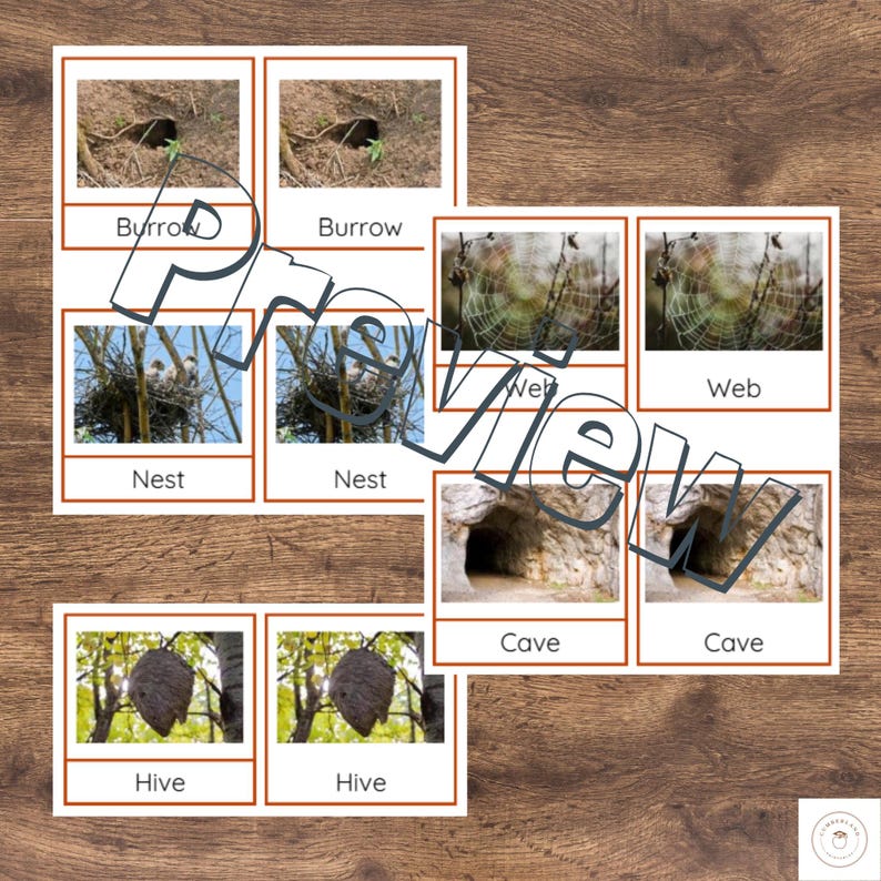 Animal Homes Montessori 3-part Cards | Habitat Learning Activity ...
