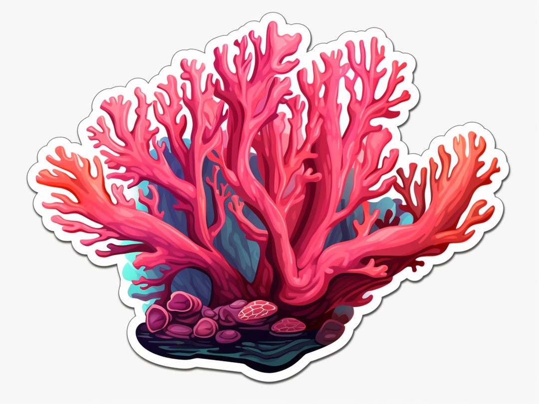 Ecosistema De Arrecifes De Coral PNG - Etsy España