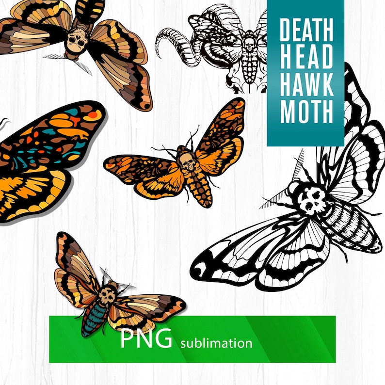 Death Head Moth PNG Bundle, Moth With Skull Png, Gothic T-shirt Design ...