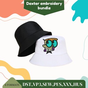 Dexter Embroidery Design, Officially Licensed Dexter's Laboratory, Fan ...