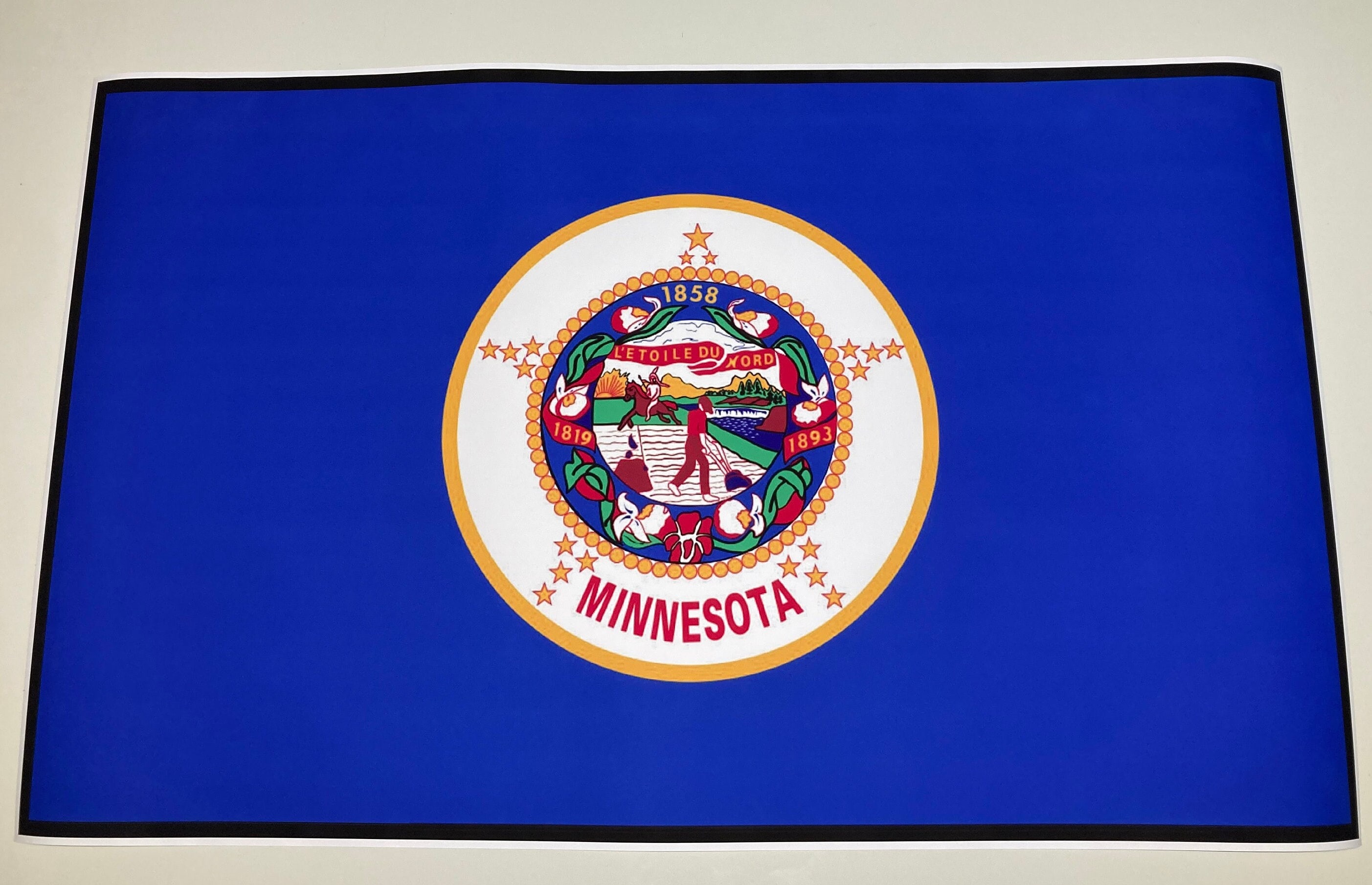 Minnesota Flag Poster (vintage Legacy) - Etsy