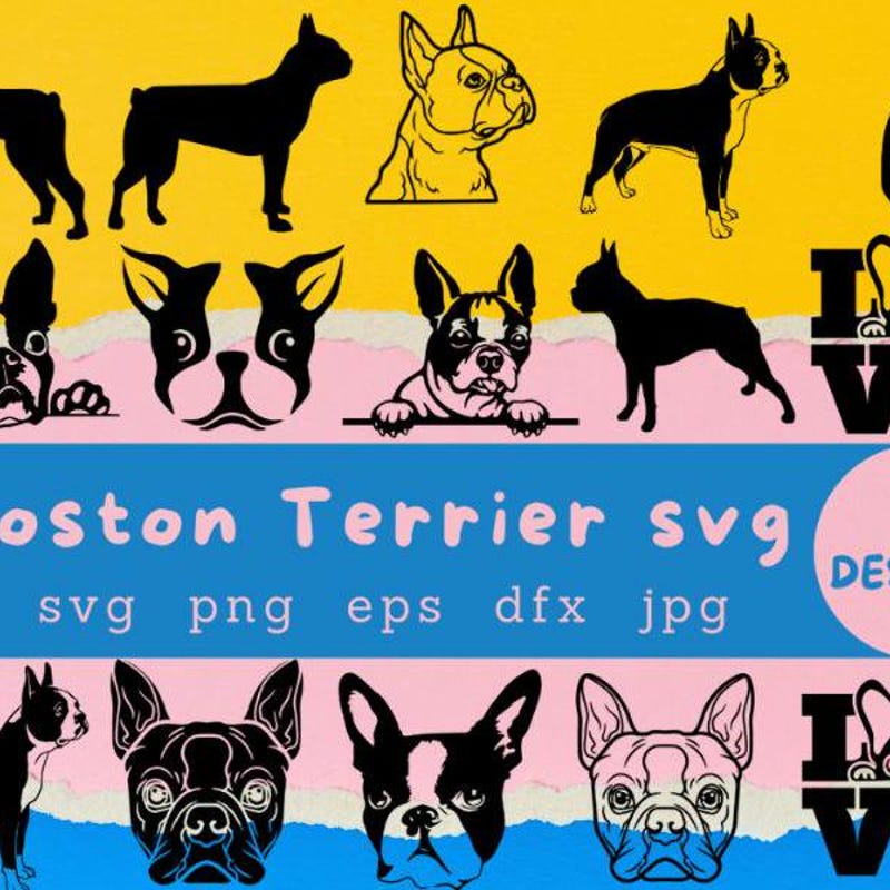 Boston Terrier Svg - Etsy