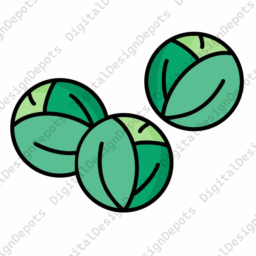 Brussels Sprouts Icon - SVG, PNG and JPG Colored - Etsy