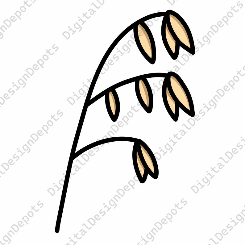 Oat Icon - SVG, PNG and JPG Colored - Etsy