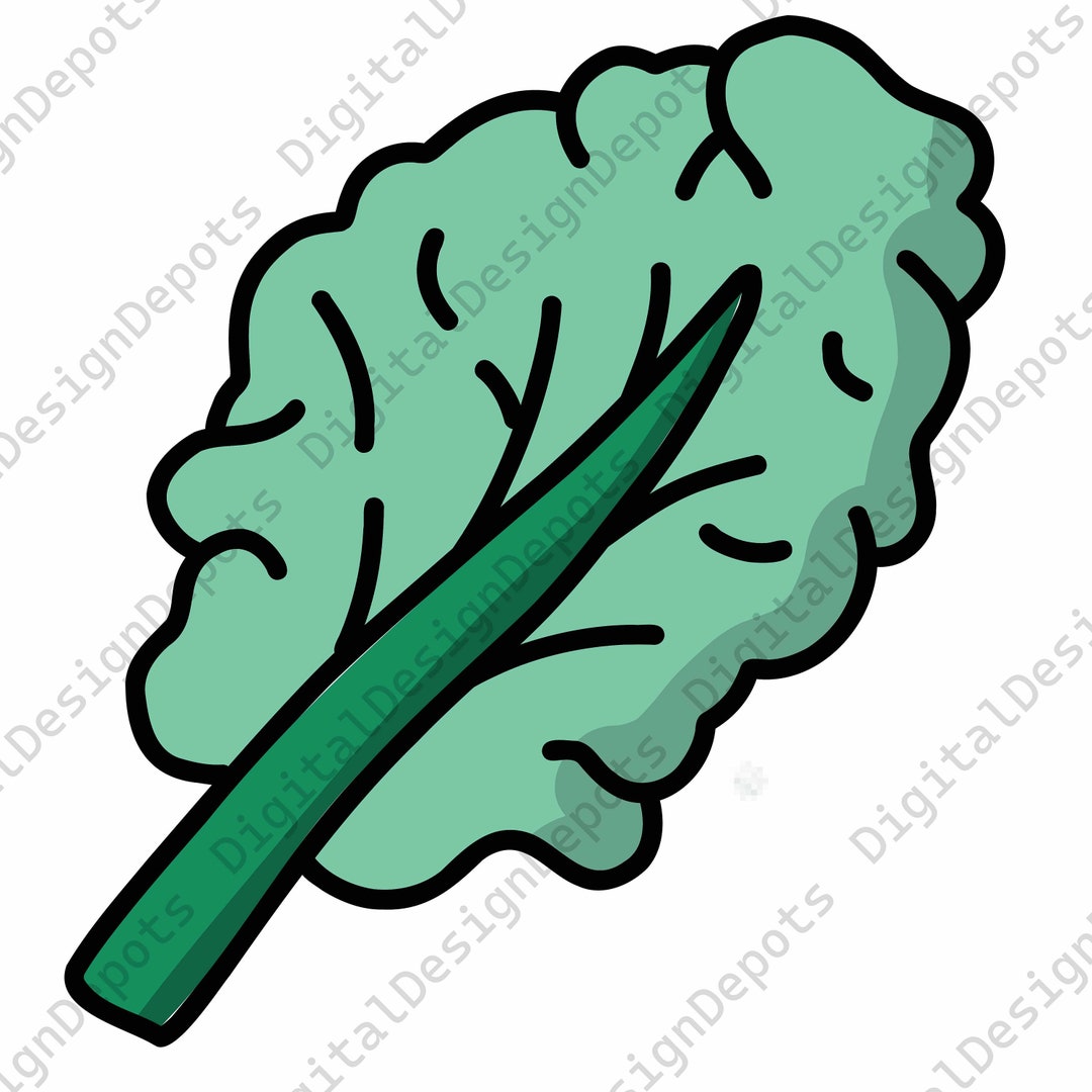 Kale Icon - SVG, PNG and JPG Colored - Etsy