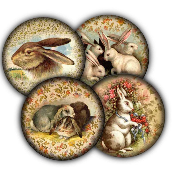 Bunny Rabbit Button - Etsy