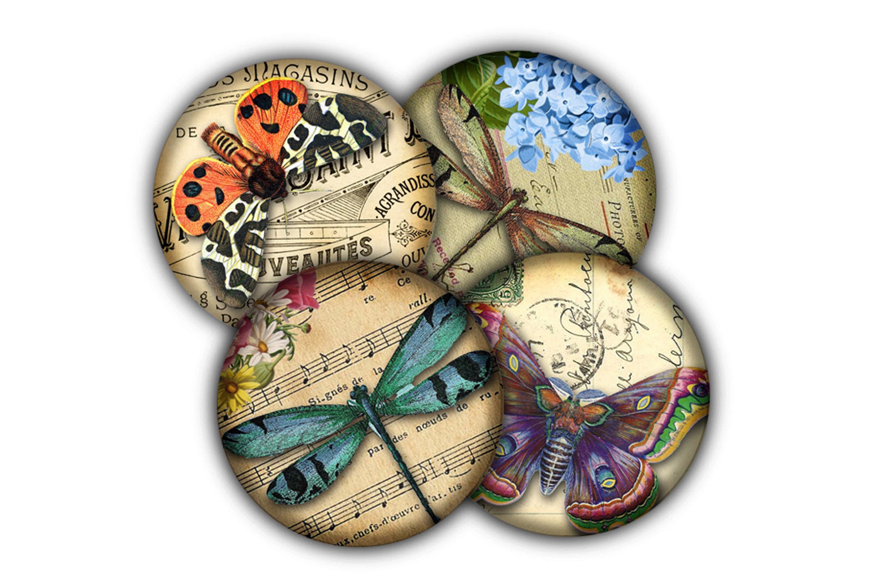 Dragonfly & Butterfly Coaster Set Cork Backed Coasters | Etsy