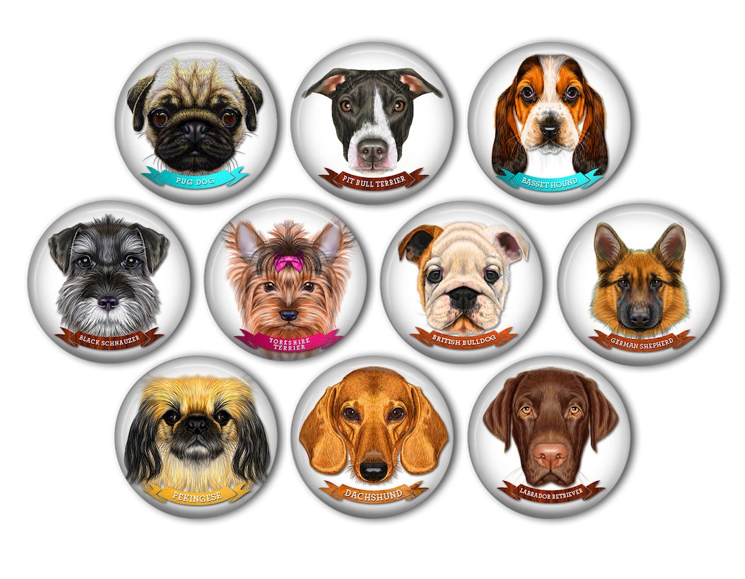 Cute Dog Breed Pin Back Buttons, Backpack Pins, Jacket Buttons, Flat ...