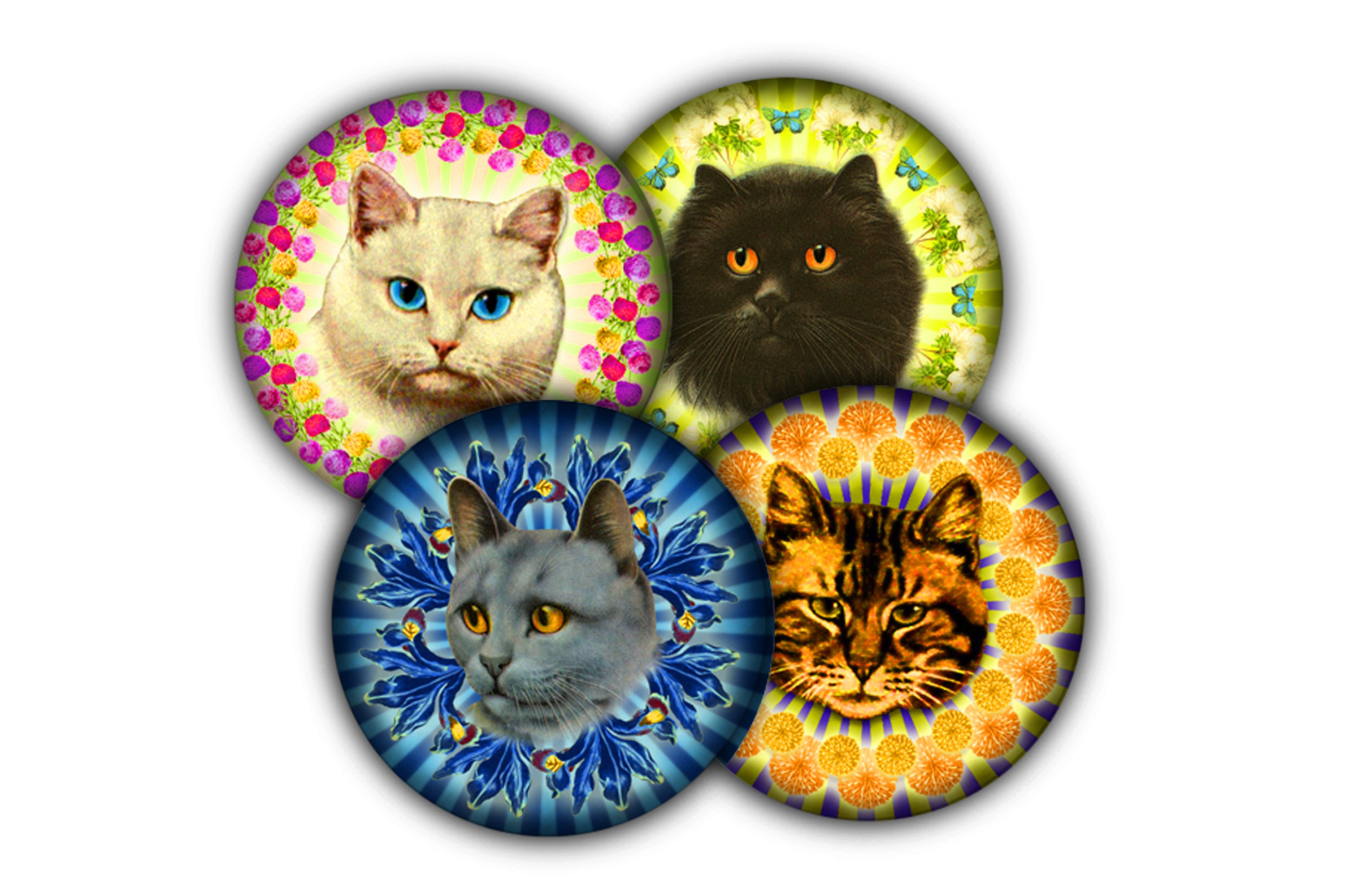 Blooming Cat Coaster Set Drink Coasters Coasters Tableware | Etsy