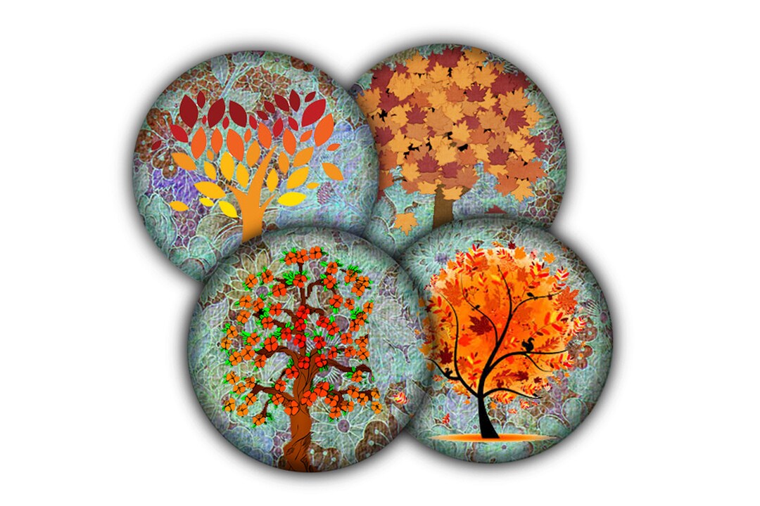Crisp Fall/autumn Trees Drink Coasters, Coasters, Tableware, Barware ...