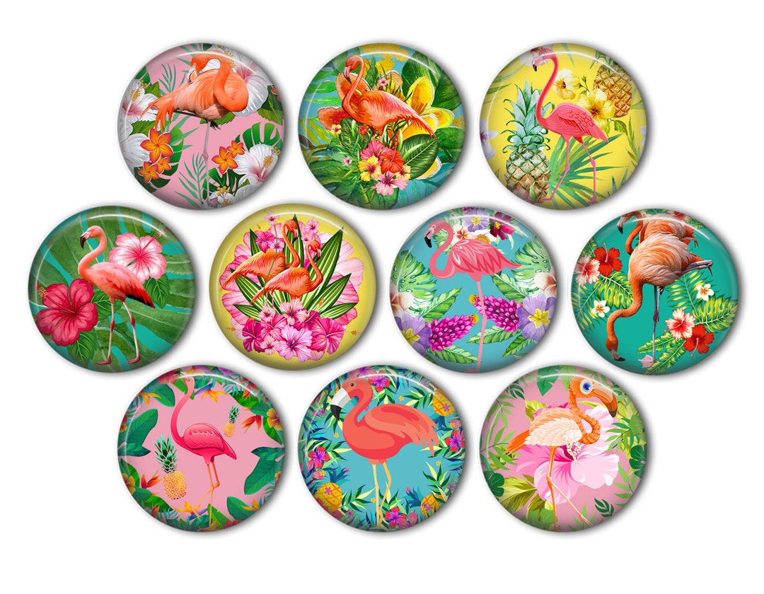 Pink Flamingo Pin Back Buttons, Backpack Pins, Jacket Buttons, Flat ...
