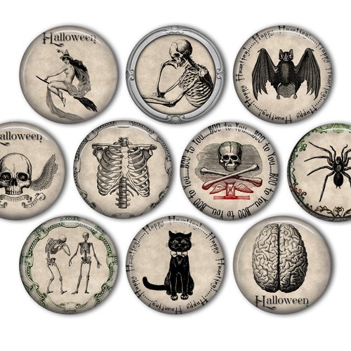 MLM Pin MLM Flag Badge LGBTQ Pride Pride Day Pride Flag | Etsy