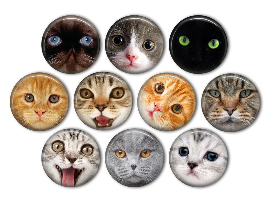 Cute Cat Faces Pin Back Buttons, Backpack Pins, Jacket Buttons, Flat ...