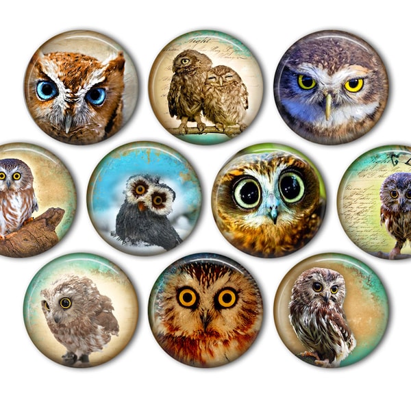 Button Owl - Etsy