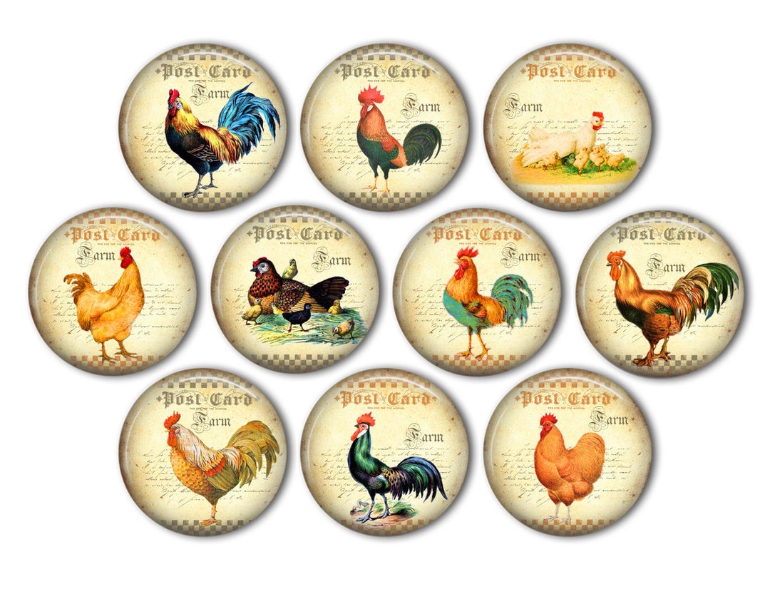 Vintage Chicken & Rooster Pin Back Buttons, Backpack Pins, Jacket ...