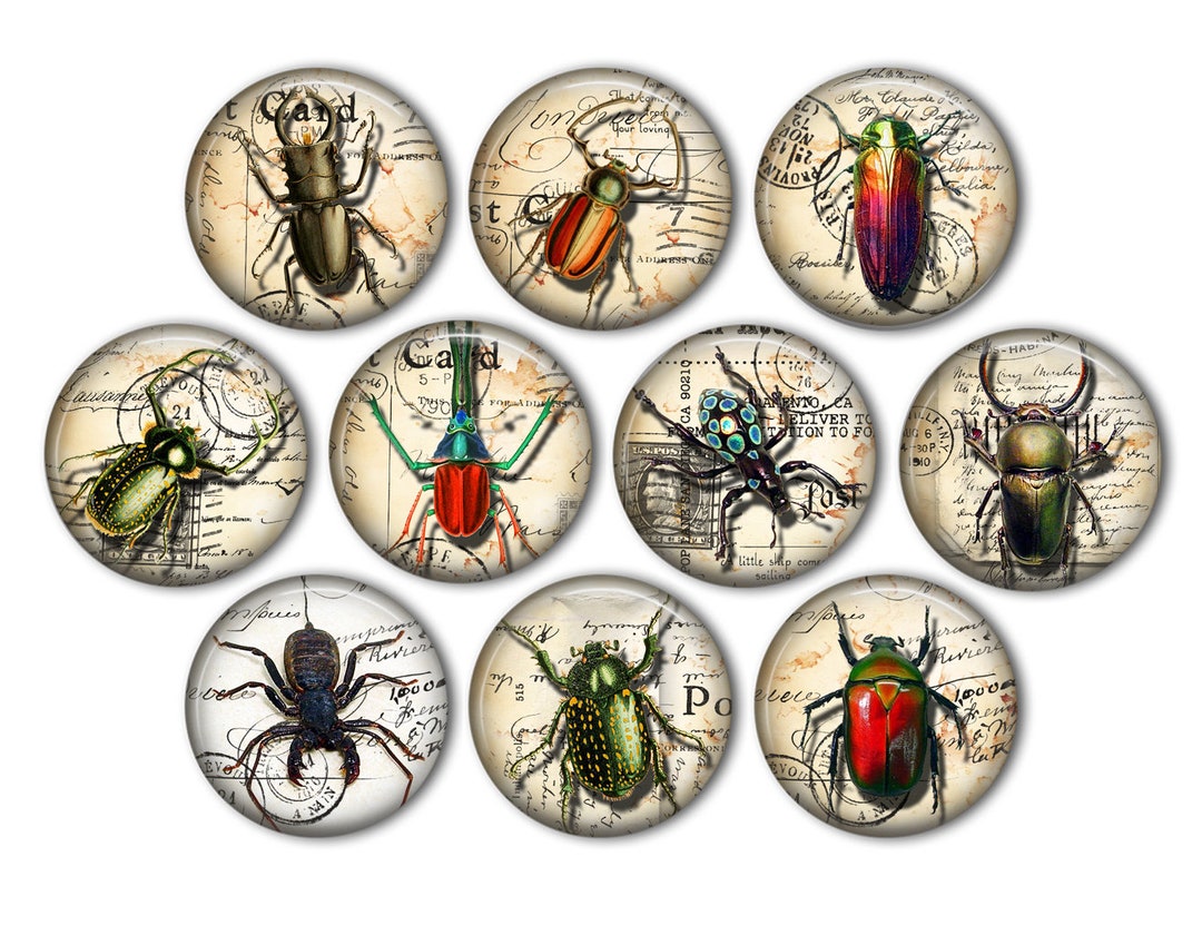 Vintage Beetle Pin Back Buttons, Backpack Pins, Jacket Buttons, Flat ...