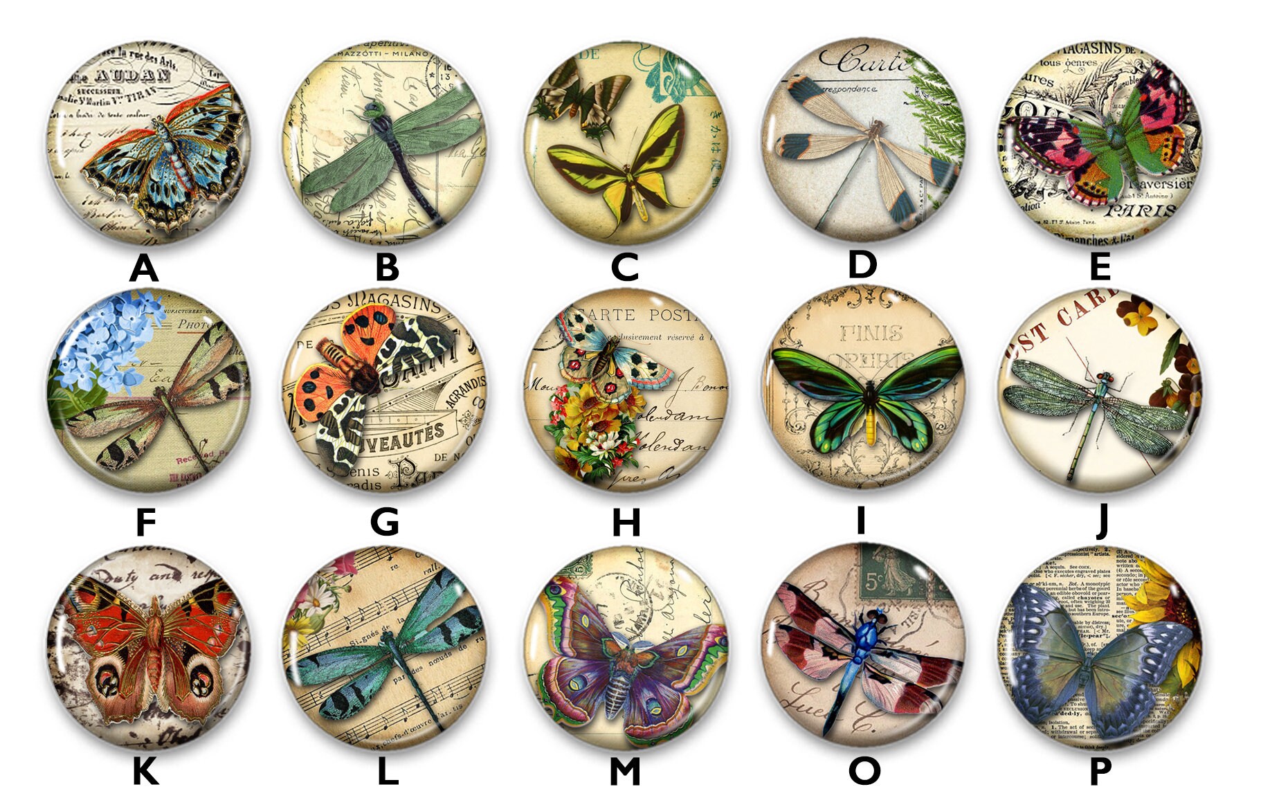 Dragonfly & Butterfly Coaster Set Cork Backed Coasters | Etsy