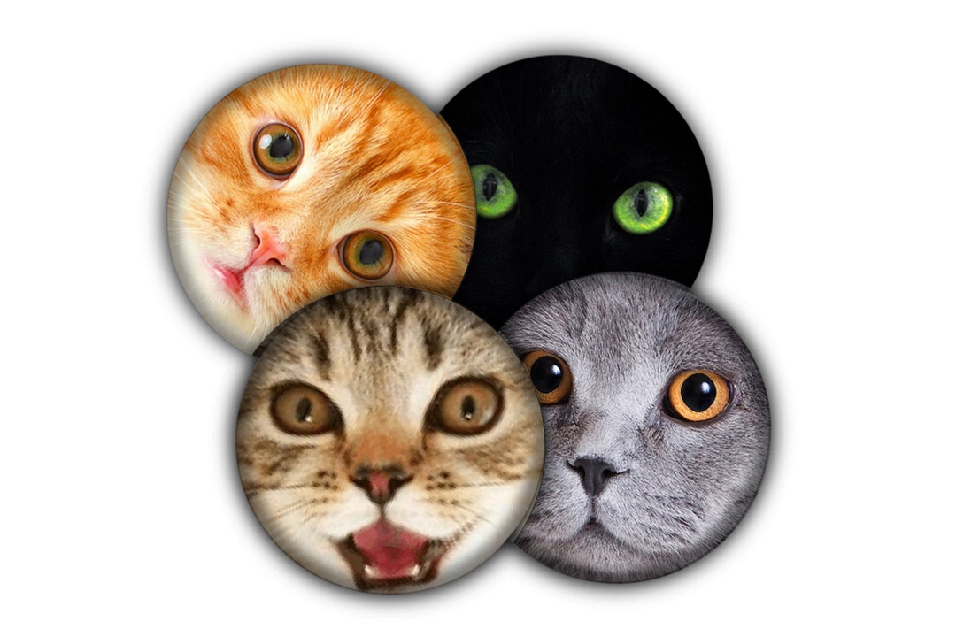 Cat Face Coaster Set, Drink Coasters, Coasters, Tableware, Barware, Cat ...