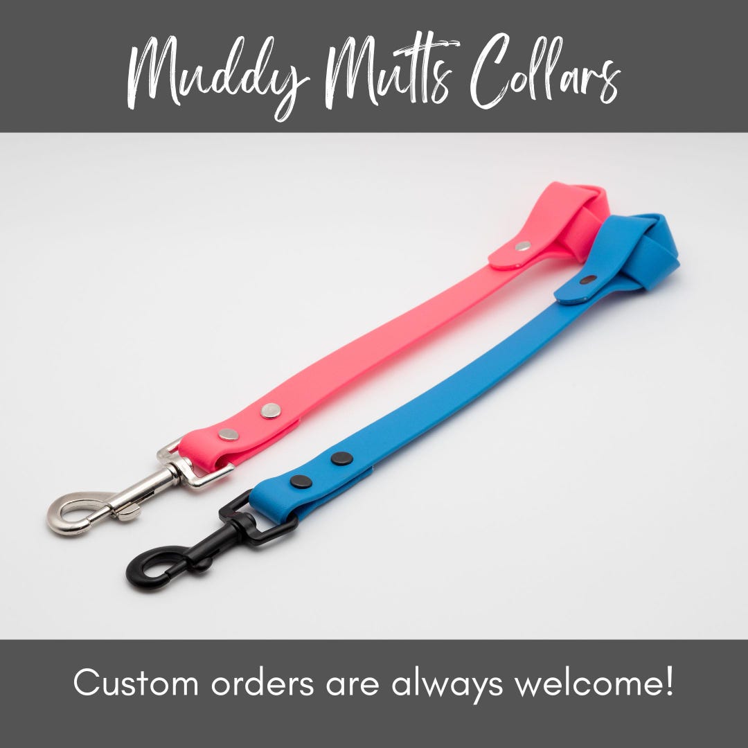 Biothane Traffic Grab Tab Knot Leash, 3/4" Wide, 12" Long - Etsy