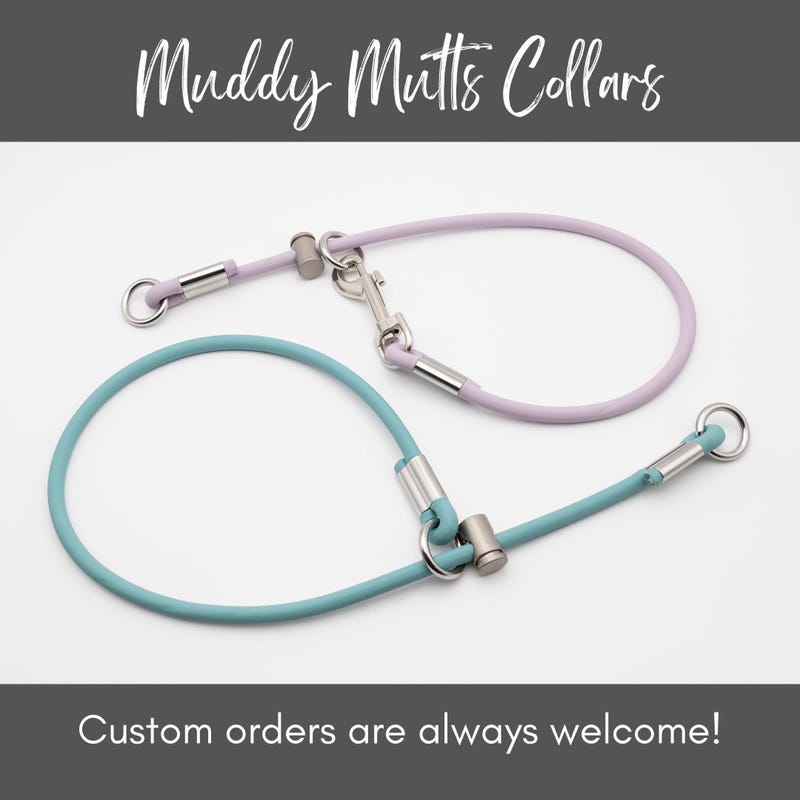 Vegan Collar With Lock - Etsy