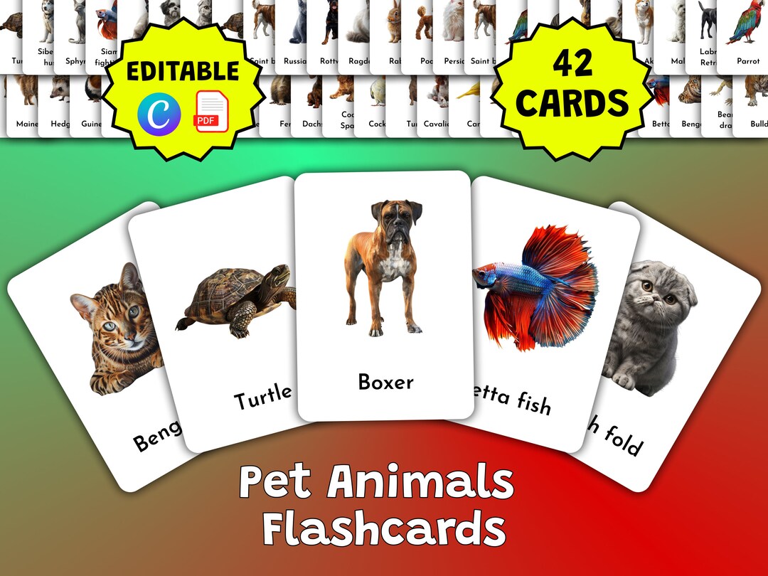 Pet Animals FLASHCARDS 42 EDİTABLE Flash Cards Montessori Preschool ...