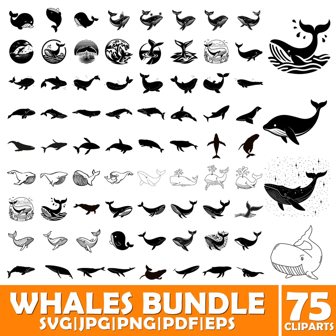 Whales Svg Bundles, Sea Whales Svg, Ocean Whales Svg, Whales PNG ...