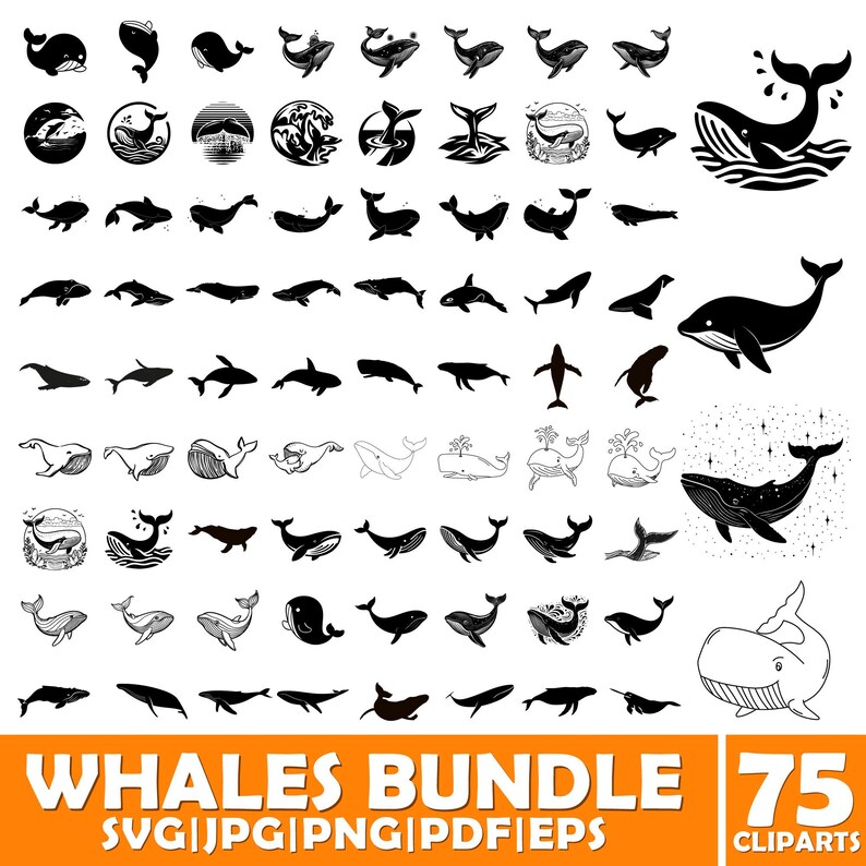 Whales Svg Bundles, Sea Whales Svg, Ocean Whales Svg, Whales PNG, Whales Clipart, Sea Animal Svg ...
