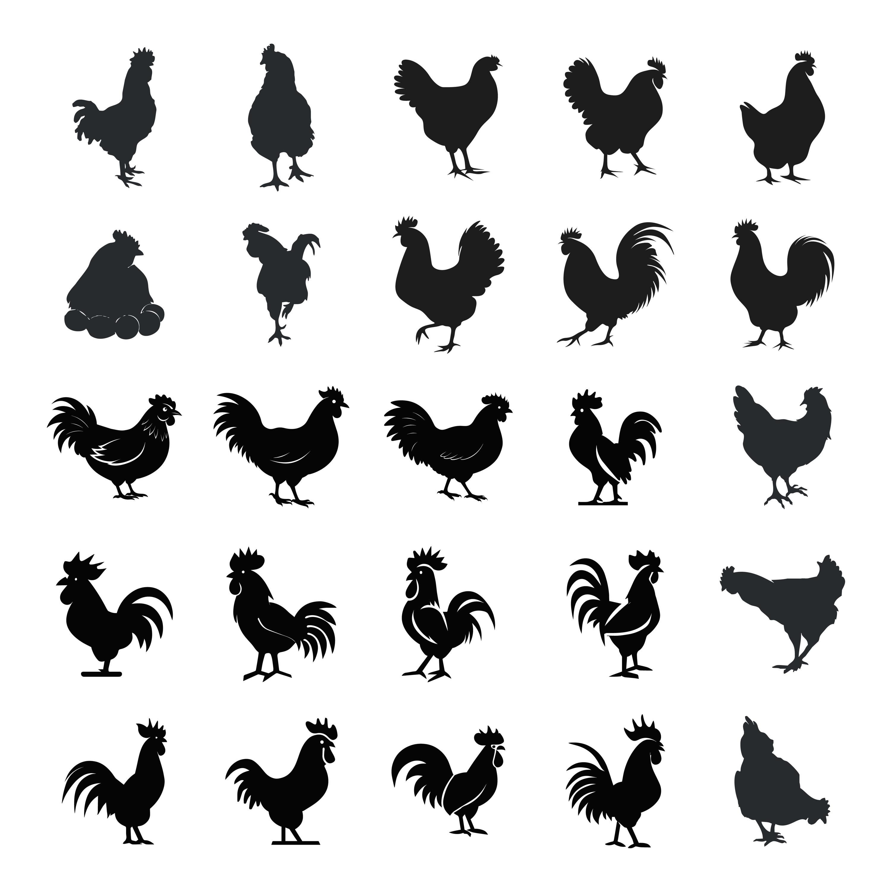 Best Chicken Svg Bundles, Chicken Clipart, Chicken PNG, Funny Chicken ...