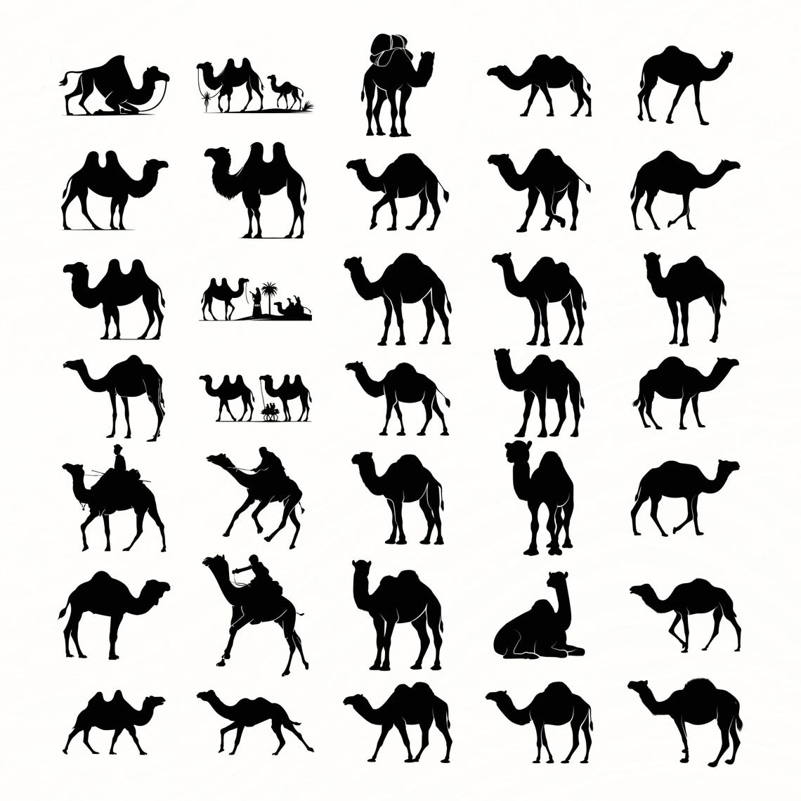 Camel Svg Prints on T Shirts, Camel PNG Mug Designs, Camel Art for ...